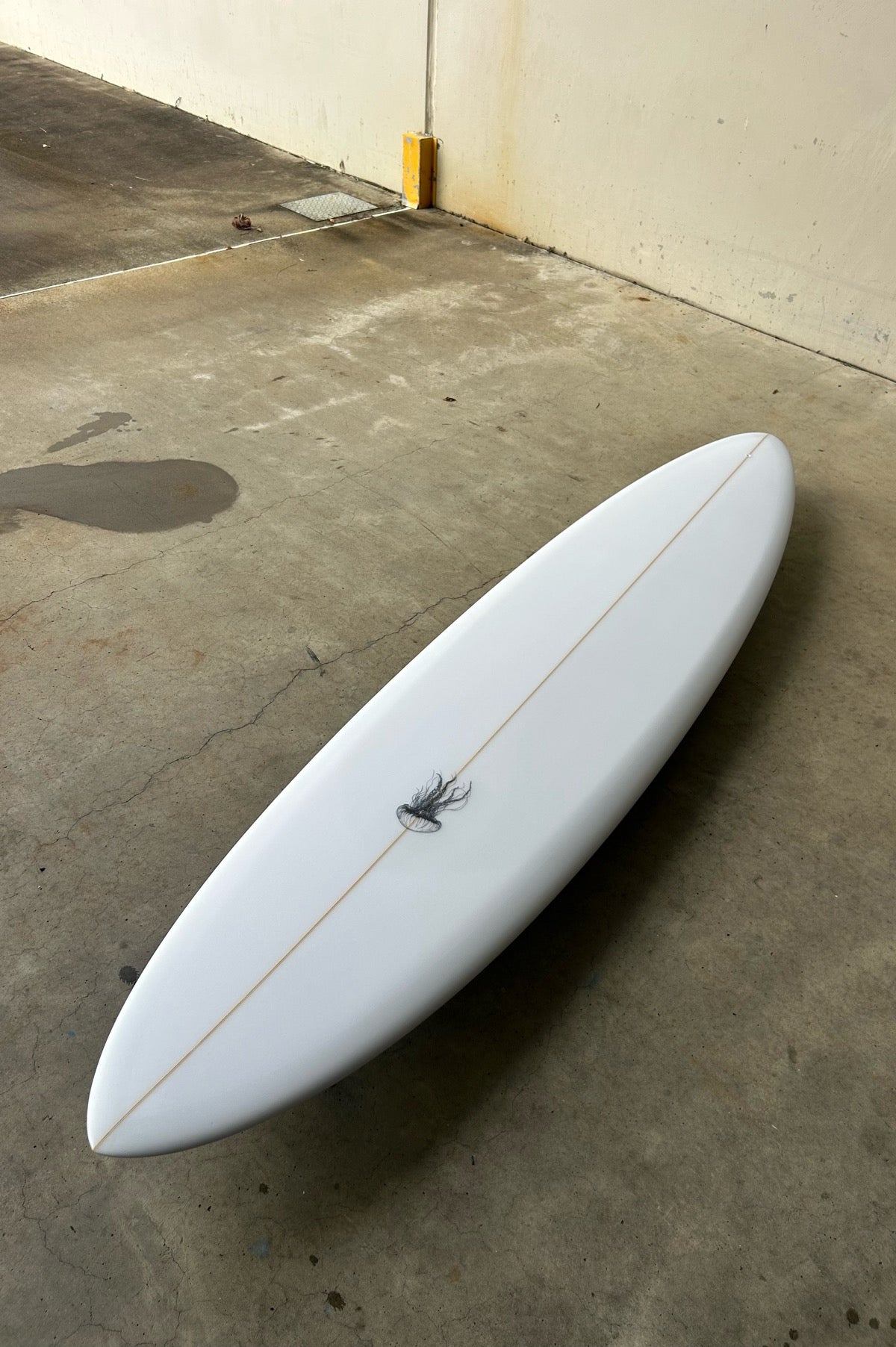 7’10 Compass | Nettleton surfboards
